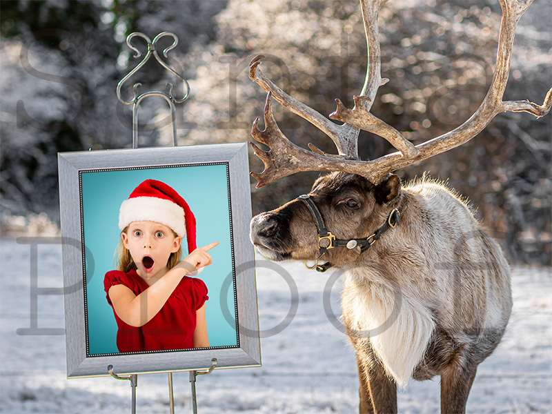 Digital Photo with Reindeer B – Call from Santa